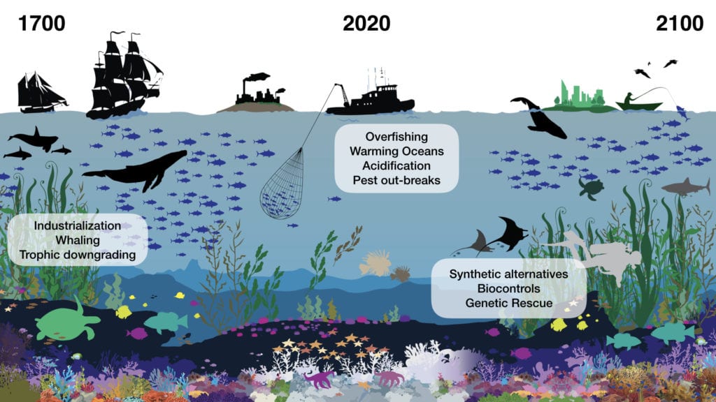 Turning_the_tide_Oceans_image.001 - Revive & Restore