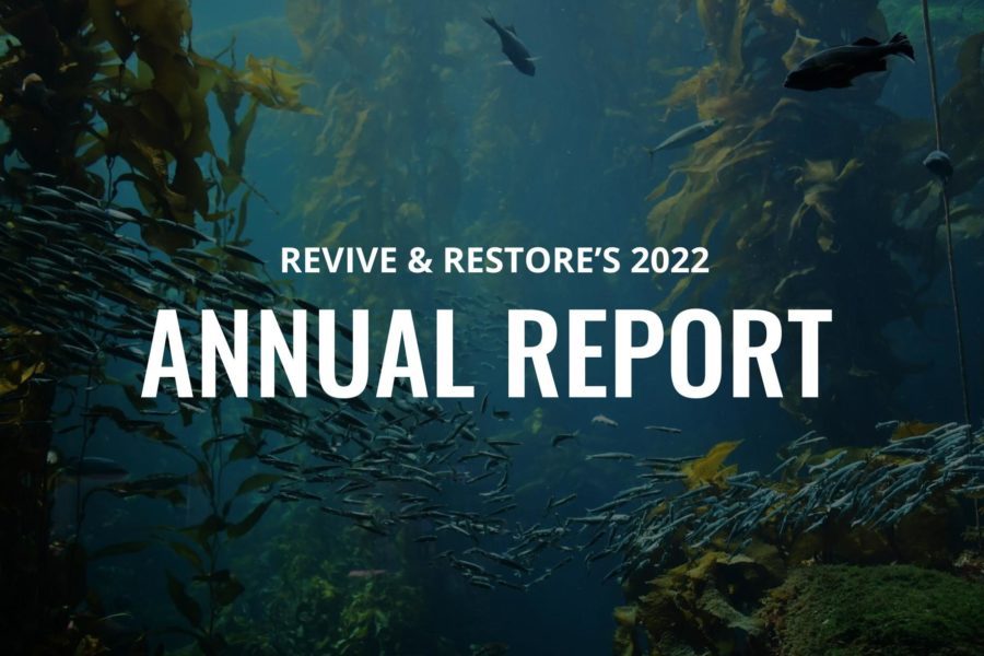 Revive & Restore | Genetic Rescue to Enhance Biodiversity