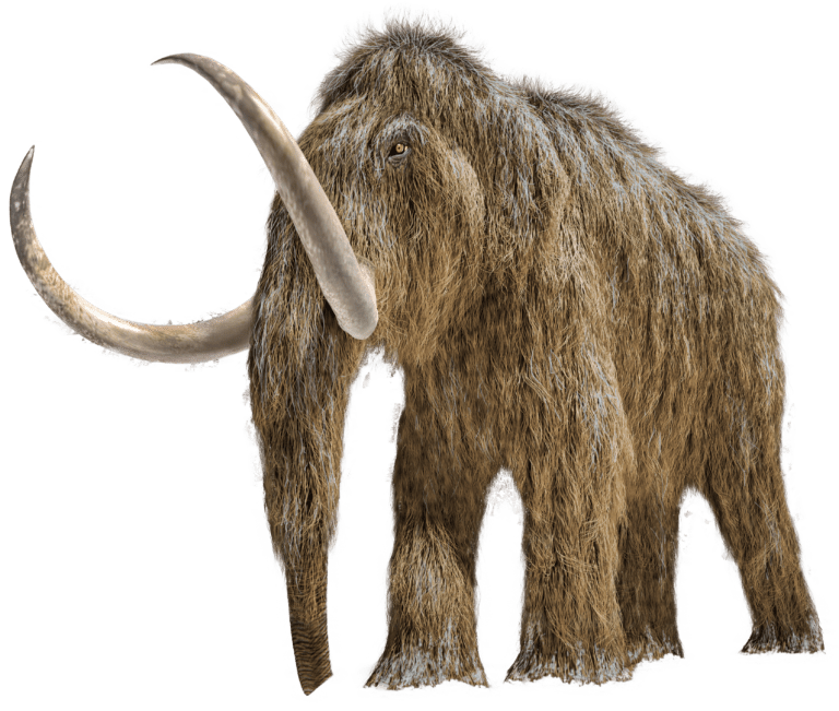 Woolly Mammoth Revival - Revive & Restore