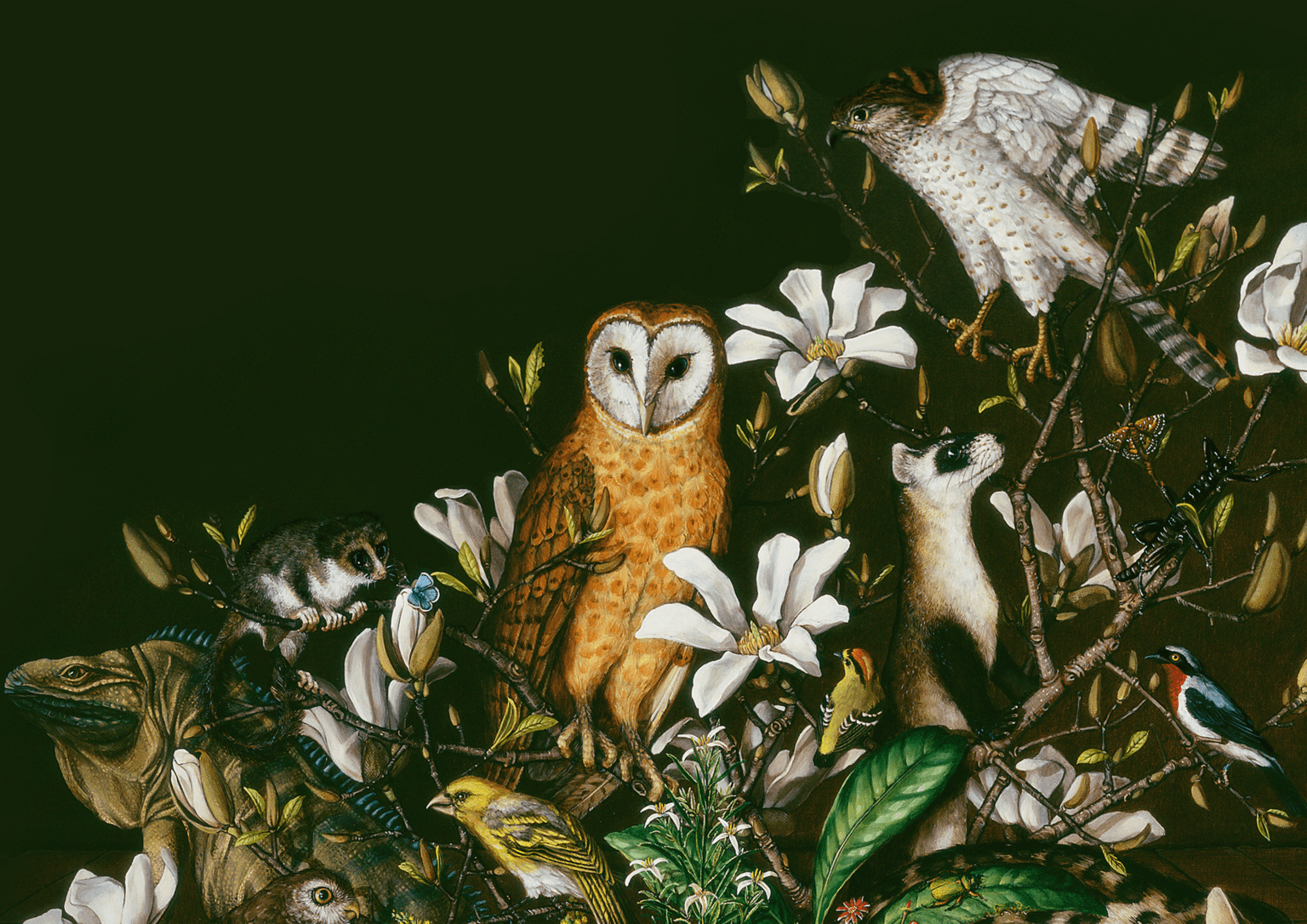 Revive & Restore | Genetic Rescue to Enhance Biodiversity