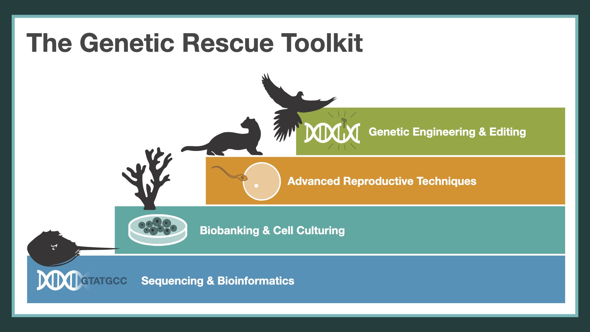 Revive & Restore | Genetic Rescue to Enhance Biodiversity