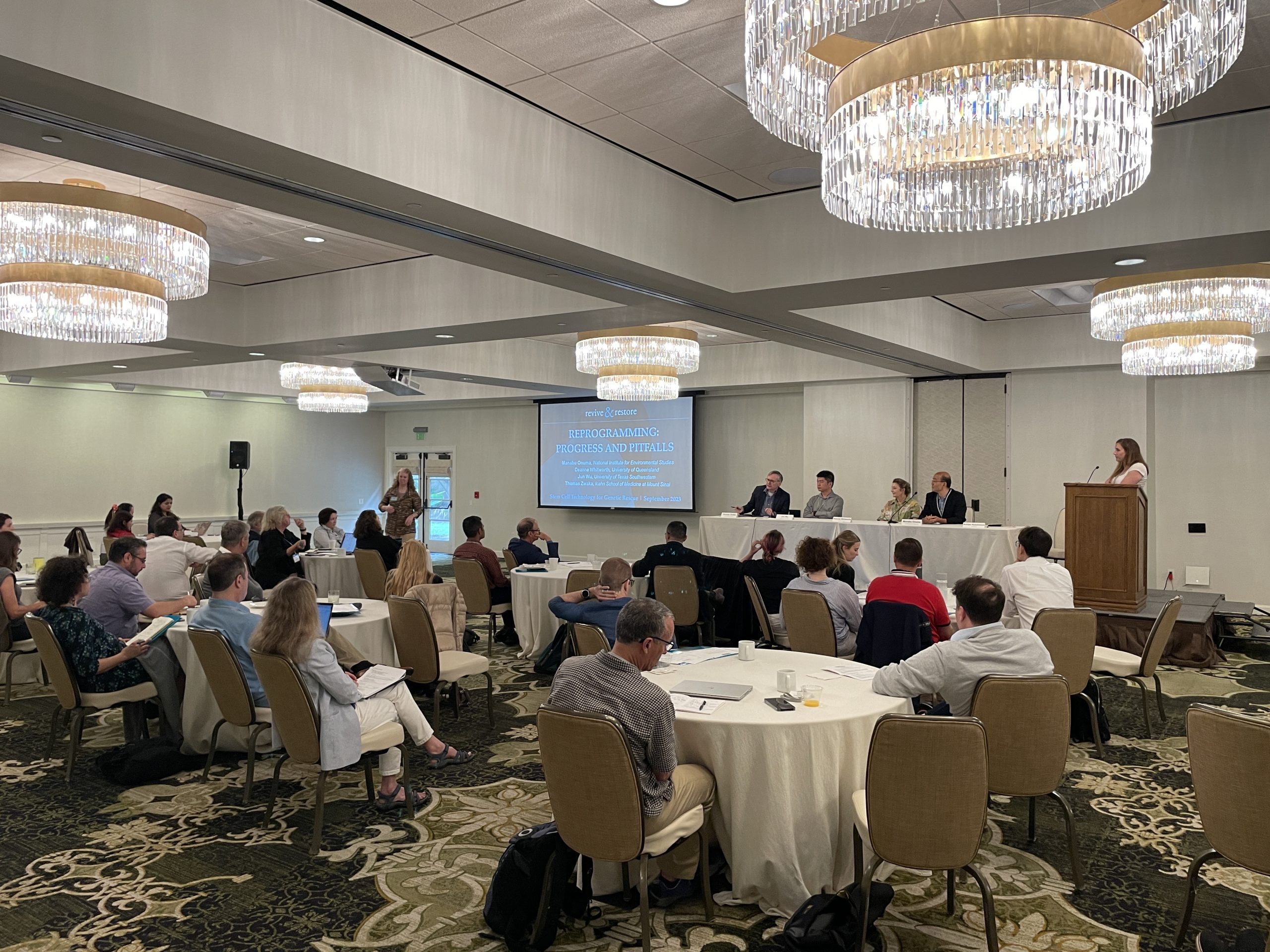 Stem Cell Technologies for Genetic Rescue